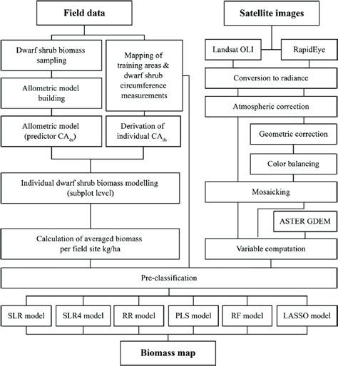 Methodological Workflow Download Scientific Diagram