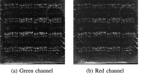 Figure 1 From Lossless Compression Of Microarray Images Using Image
