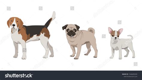 8 Small Smaller Smallest Stock Vectors Images And Vector Art Shutterstock