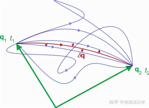 最小作用量原理——分析力学之母，解释弯曲时空背后的真正逻辑 知乎