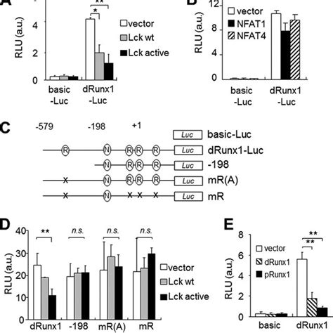 Runx Dependent Regulation Of Distal Runx1 Promoter Activity A C And