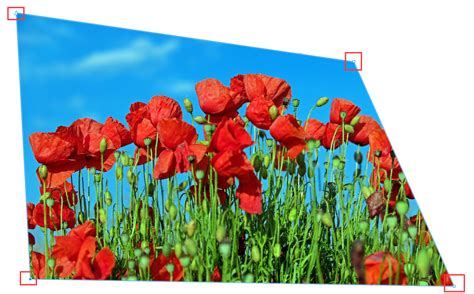 Cdr图片怎么随意变形 Cdr怎么把图片拉长不变形 Coreldraw中文网站