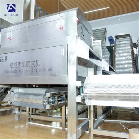 Full Food Peeling Grading Cleaning Production Line Automation For Macadamia Nuts Food