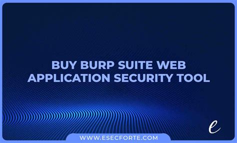 Burp Suite Professional India Application Security