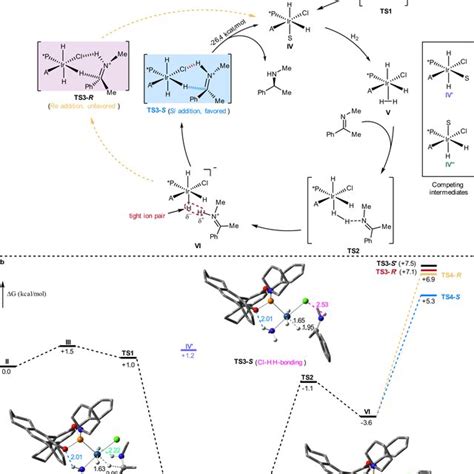 Proposed Reaction Pathways And Energy Profiles A Catalytic Cycle B