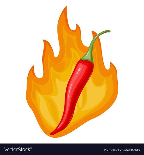Mexican Chili Pepper Clip Art Hot Red Chilly Pepper Isolated On White