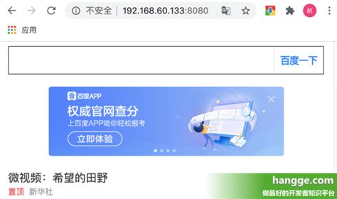 Docker 通过容器安装部署nginx服务（附：反向代理配置）