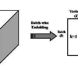Batch Process Dataset And Batch Wise Unfolding Download Scientific Diagram