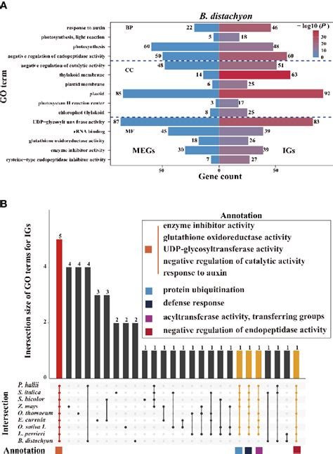 Enriched Gene Ontology Go Terms A Top 15 Enriched Go Terms Among