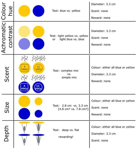 Floral Trait Preferences Of Three Common Wild Bee Species