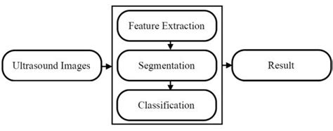 Flowchart Of Implementation Cnns Download Scientific Diagram
