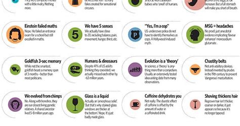 Common Mythconceptions Imgur