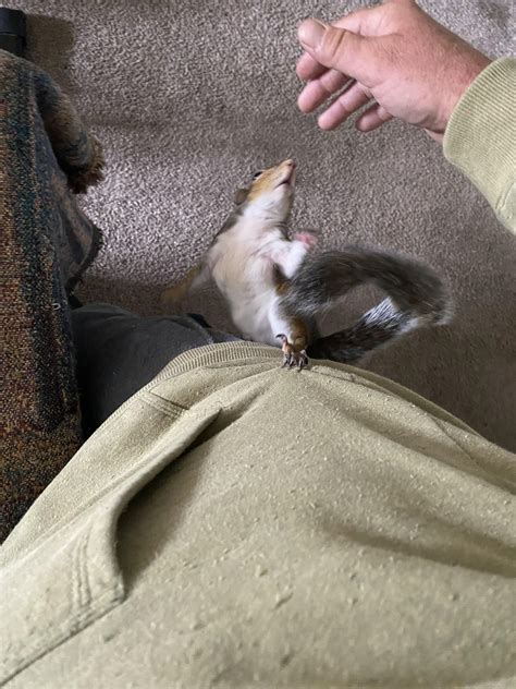 Bubba G Aka Bubba Genius Scrolller