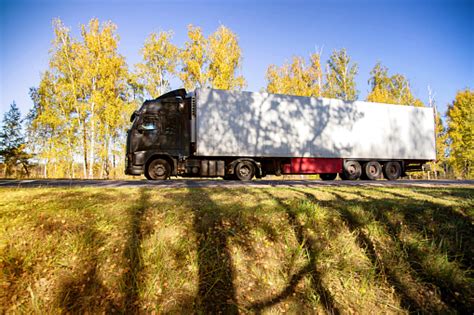 냉장 세미 트레일러가 장착 된 트럭은 시골 길을 따라 숲을 배경으로 부패하기 쉬운 물품을 운송합니다 텍스트 공간 복사 0명에 대한 스톡 사진 및 기타 이미지 Istock