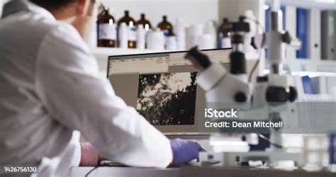 인간 과학자에 의한 의학 혁신 및 신경 과학은 해부학 의학 및 실험 반응을 컴퓨터에 연구합니다 건강 전문가 연구 세포 및 혈액 활동 실험실에서 암 치료 작업 임상병리과에