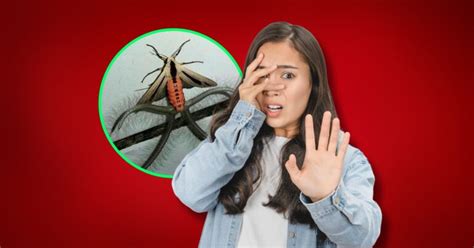 Can You Look At These Photos Without Flinching