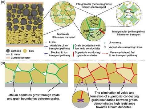 Schematic Illustration Of A Multiscale Lithium‐ion Transport In Download Scientific Diagram