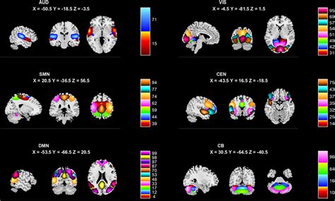 Spatial Maps Of The 39 Independent Components Ics Divided Into Six