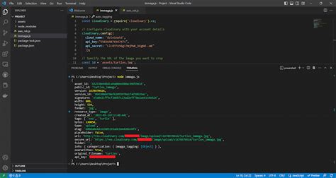 simplify your life with automatic image tagging cloudinary