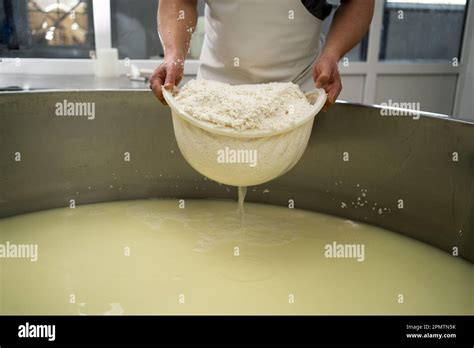 Cheese Production Process Cheesemaker Drain Curd From Whey Handmade