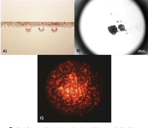 Figure 1 From Diffraction Based Technology For The Monitoring Of
