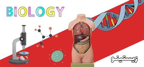 بهترین اساتید زیست کنکور ایران تحلیل و معرفی بهترین دبیران زیست کنکور