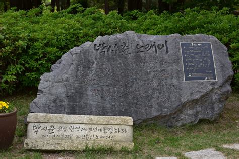 청춘과 낭만의 섬 춘천 여행 남이섬 세계책나라축제 개막식 네이트뷰