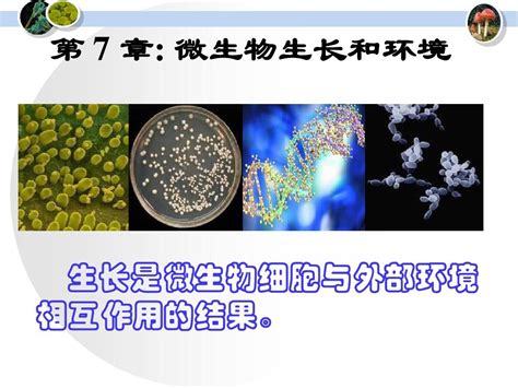 2003 16 微生物生理学 生长 Word文档在线阅读与下载 无忧文档