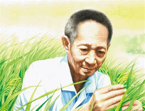 袁隆平爷爷的海水稻是咸的吗，好吃不？“干饭人”已迫不及待！盐碱地