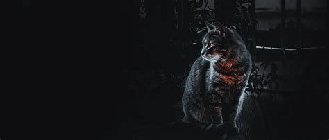 Getting Started With Nestjs A Step By Step Example Guide By Johnstyle Medium