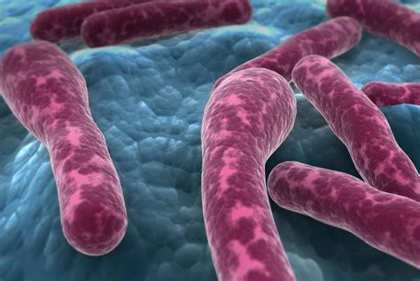 29 Facts About Botulism