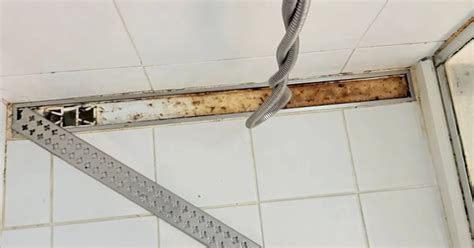 약속 잡기도 편하고 궁금한거 있음 잘 답변해주세요 청소해주신 팀장님도 친절하셨고 수고많으셨어요 전후로 사진도 잘 찍어주시고 만족합니다 숨고 숨은고수