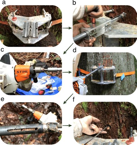 Workflow For The Sampling Process Download Scientific Diagram