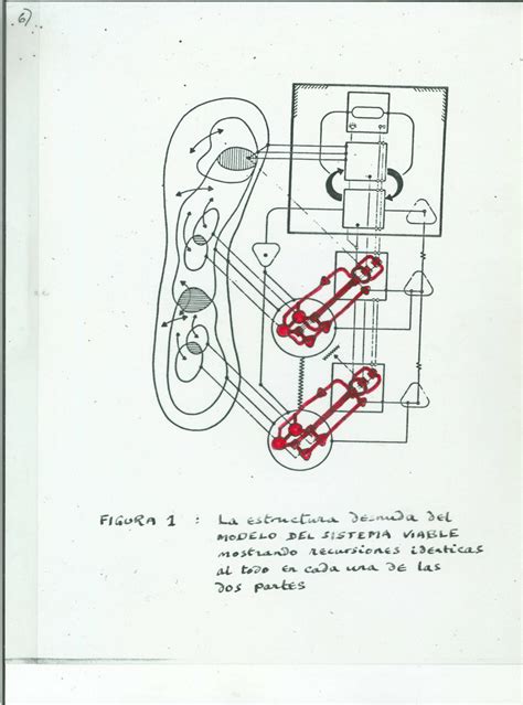 The Naked Structure Of The Viable System Model VSM Drawn By Stafford