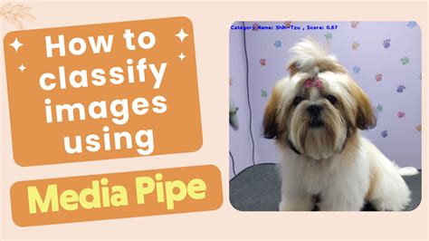Mediapipe Image Classifier Python With Efficientnet Lite0