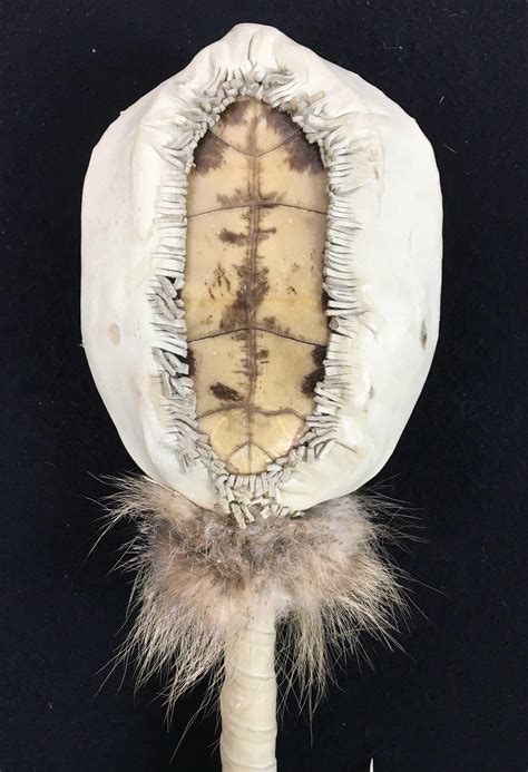 Lot Native American Turtle Shell Ceremonial Shaman