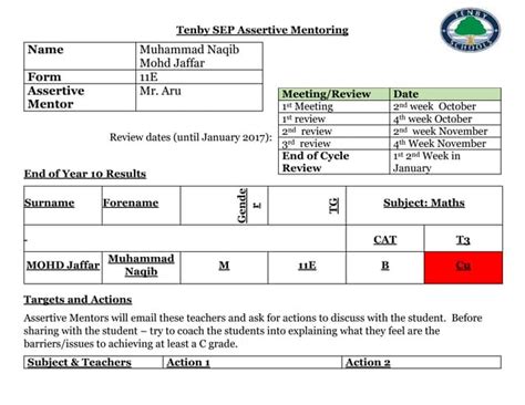 Assertive Mentoring Mathsdocx