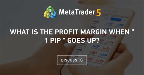 What Is The Profit Margin When 1 Pip Goes Up Margin Calculate
