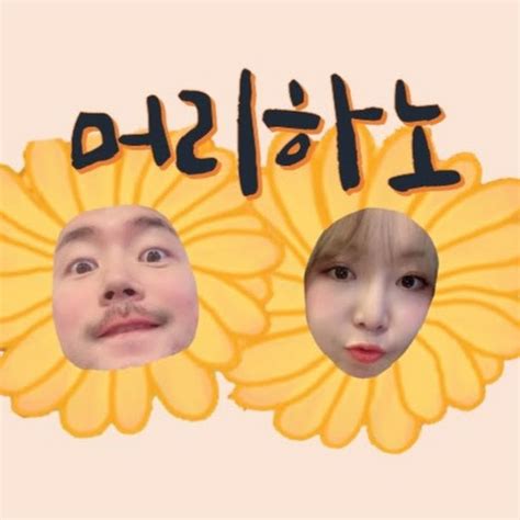 머리하노 Youtube