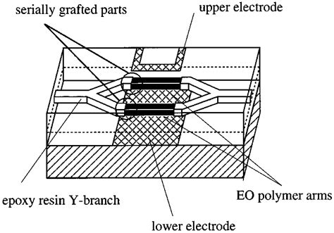Schematic View Of A Serially Grafted Mz Modulator The Overall Length Download Scientific