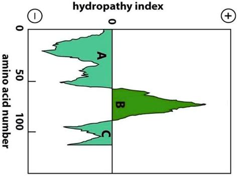 Solved Hydropathy Plot Of A Plasma Membrane Integral Protein Without