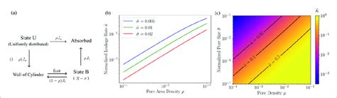 Approximate Analytic Model For Leakage From Pores In A Cylindrical