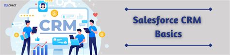 Salesforce Crm Basics