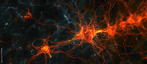 Apical Dendrite Structure Of Cortical Pyramidal Neurons With Spines And Bifurcation Revealed By
