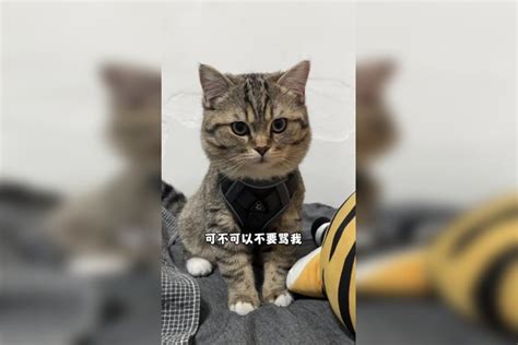 我笨笨的时候，可不可以对我耐心一点