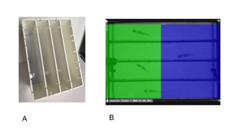 Conditioned Place Preference Cppa Form Of Pavlovian Conditioning Can
