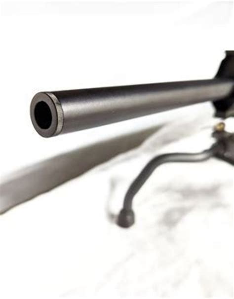 Rex Ibex Barrel Kit 25 New England Airgun Inc