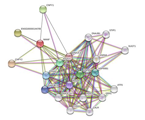 Armet Manf General Information Sino Biological