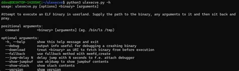 rafael brinhosa‏ on linkedin ulexecve execute dynamic or statically