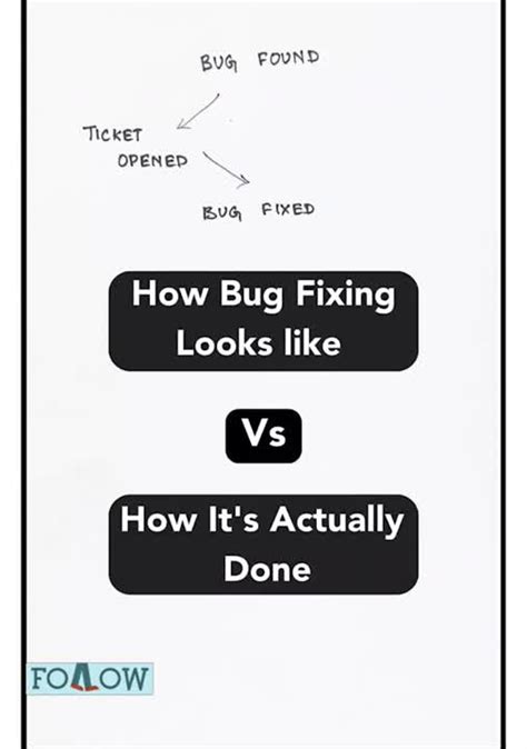 [video] Shoayb Amiruddin Malek On Linkedin Tester And Developer How Bug Fixing Looks From The